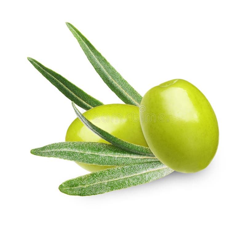 Green olives with leaves stock image. Image of berry - 33043693