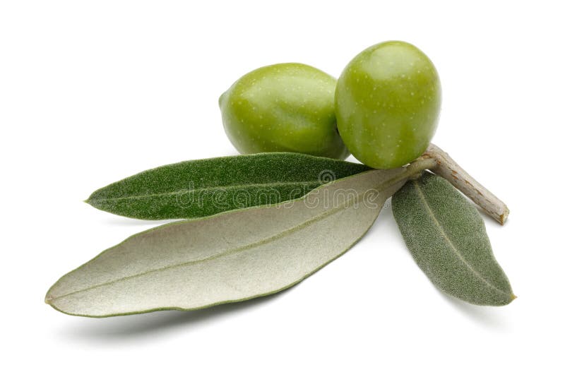 Green Olives with Leaves Isolated on White Stock Image - Image of olive ...