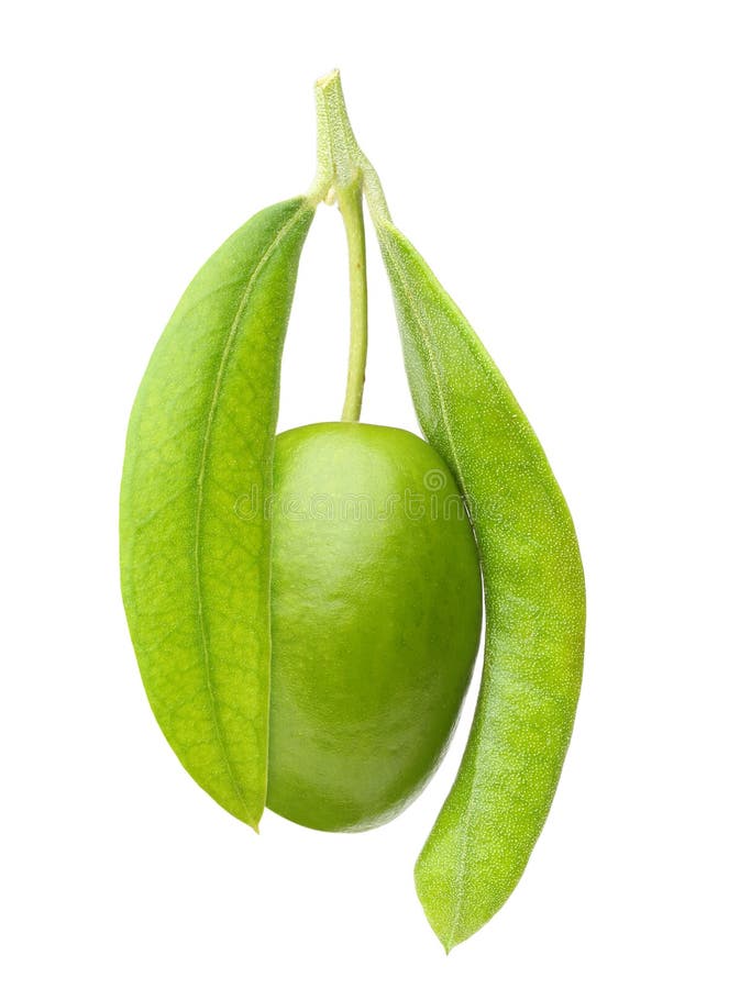 Green olives with leaves stock image. Image of food, vegetarian - 56631137