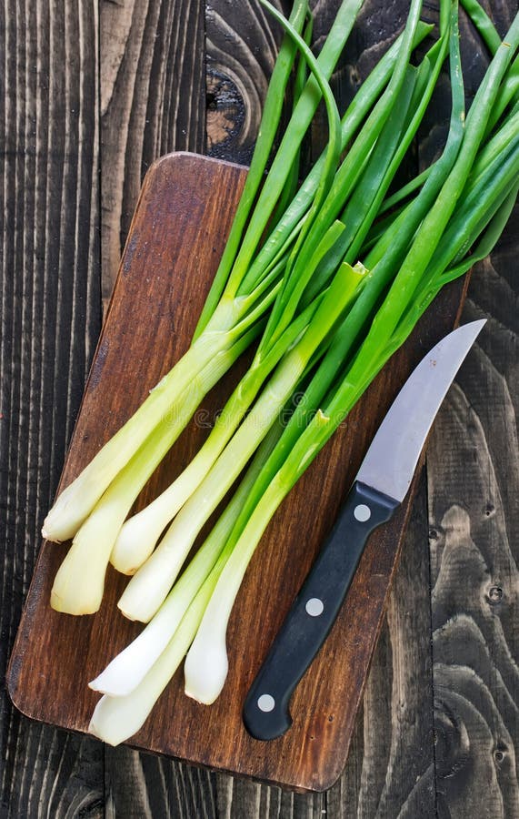 Green onion stock photo. Image of healthy, green, bouquet - 40828784