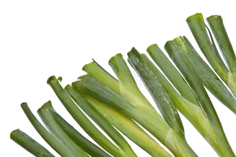 Green Onion Border stock image. Image of vegetable, isolated - 14788111