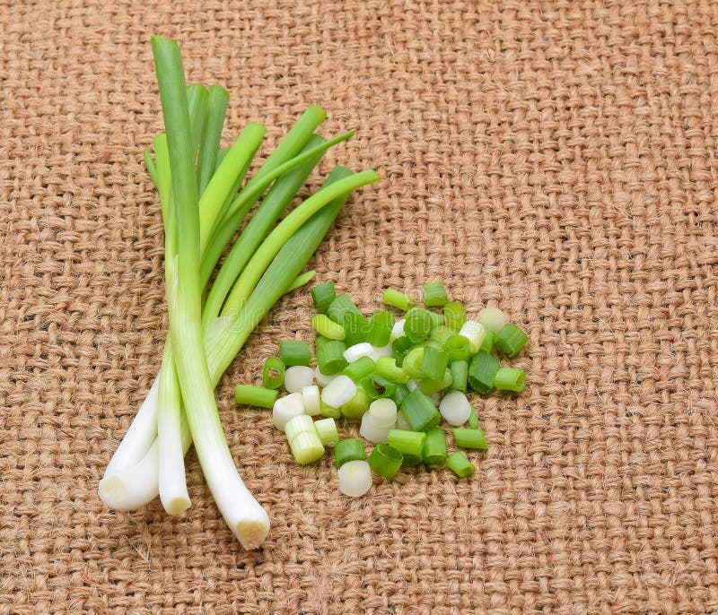 Green onion.green onion stock photo. Image of nutrition - 180665372
