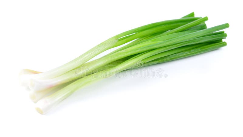 Green Onion Isolated on the White Background Stock Image - Image of ...