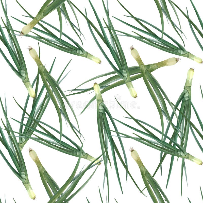 Wallpapper : Green Cube Design Pattern Stock Vector - Illustration of ...