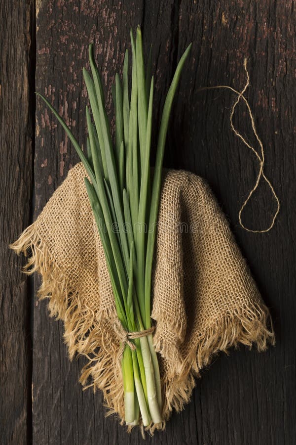 Green Onions. Bunch of Young Green Onions on a Rustic Table Stock Photo ...