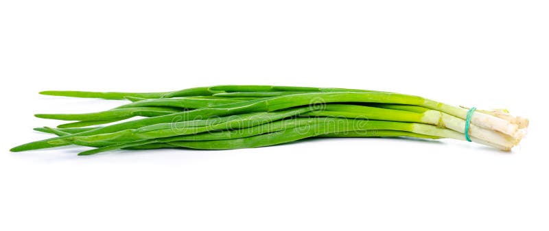 Green onions fresh stock image. Image of organic, health - 139949041