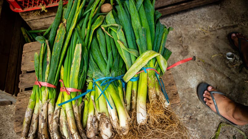 Green Onions Sold in Traditional Markets Stock Photo - Image of holding ...