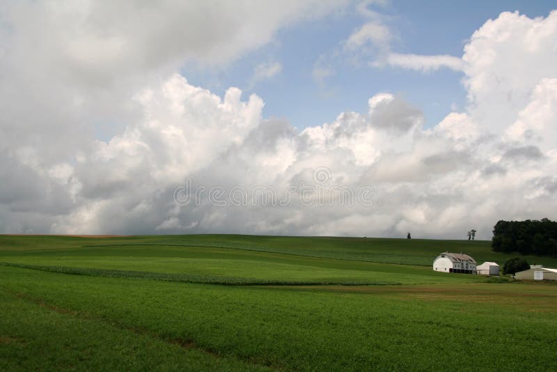 Road pano stock photo. Image of plain, farmland, heaven - 200784