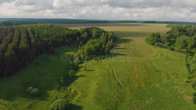 Green Open Field and Forest - Blue Sky with Clouds Stock Video - Video ...