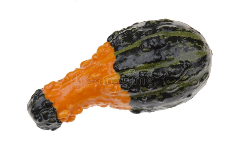 359 Gord Stock Photos - Free & Royalty-Free Stock Photos from Dreamstime