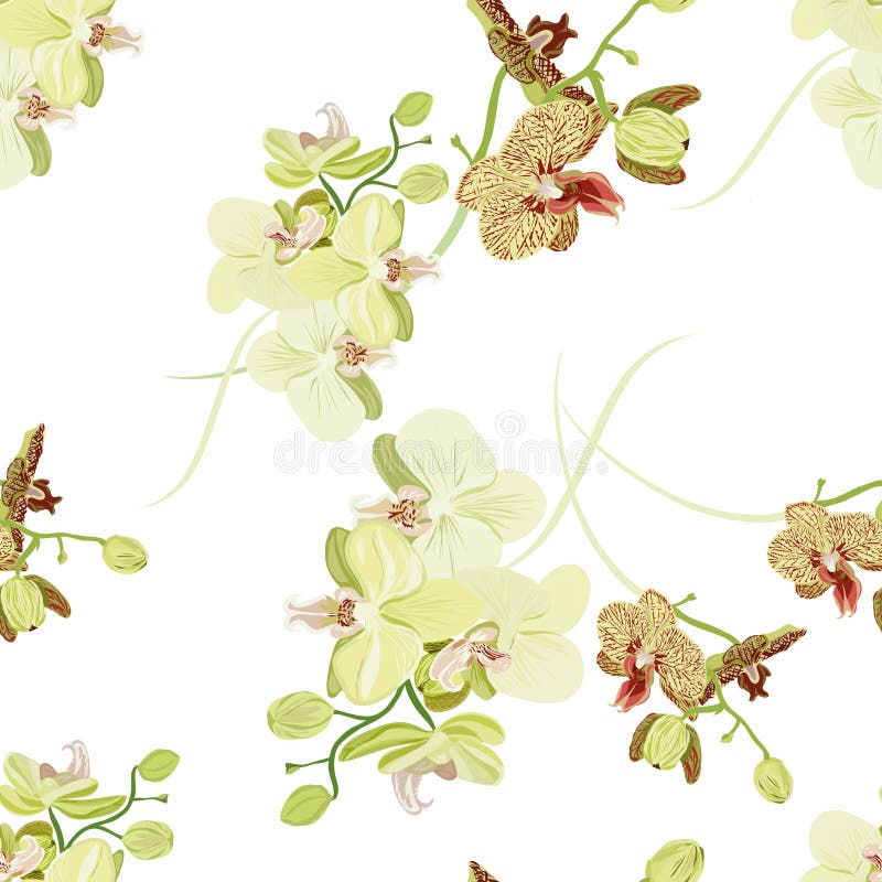 Vector Seamless Pattern with Orchid Stock Illustration - Illustration ...
