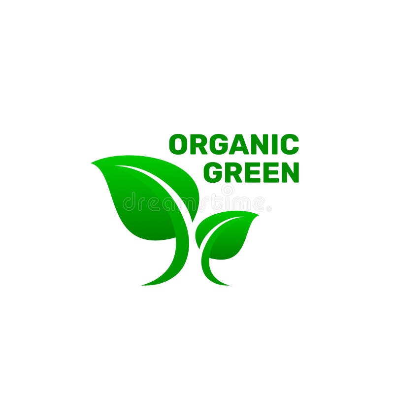 Green Organic Leaf of a Tree, Icon on a White Background. Stock Vector ...