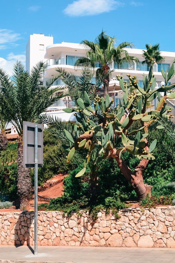 Green outside the hotel stock photo. Image of health - 79263008