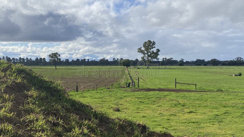Green Paddock Field from the Hill Side Stock Photo - Image of side ...