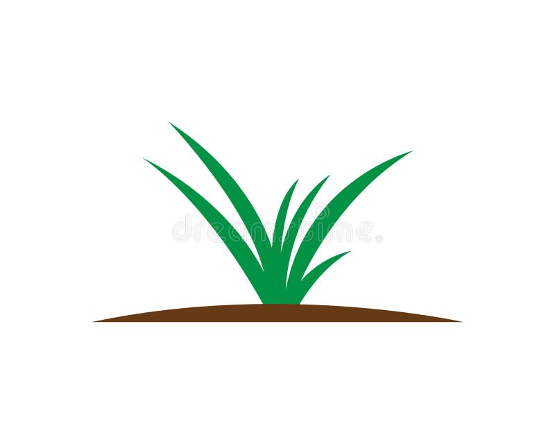 Green Paddy Leaves and Wheat Leaves Agriculture Logo Design Vector Icon ...