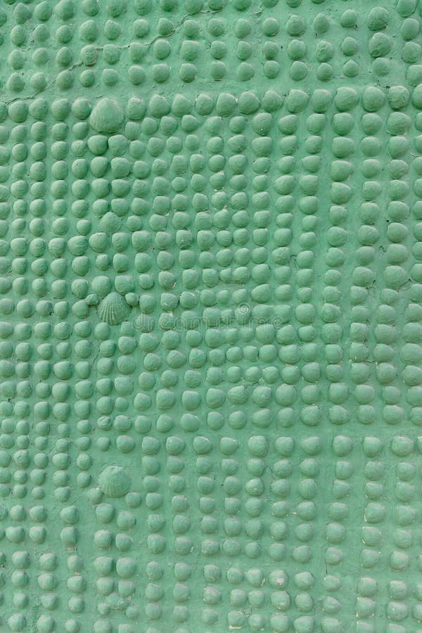 A Green Painted Surface Textured with Beach Shells Forming an Abstract ...