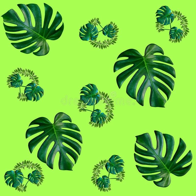 Green Palm Leaves Pattern For Nature Concept Tropical Leaf On Green