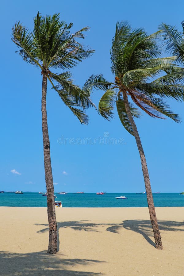 Green Palm Beach in Pattaya City. Stock Photo - Image of coast, sand ...