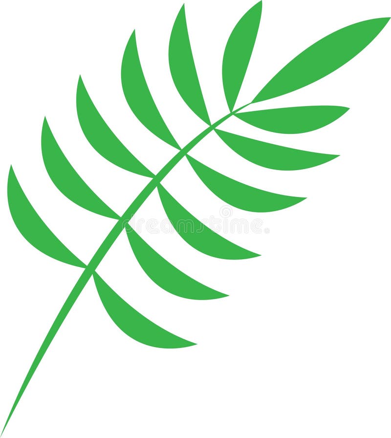 Green Palm Tree Leaf Vector Illustration. Tropical Icon. Stock Vector ...