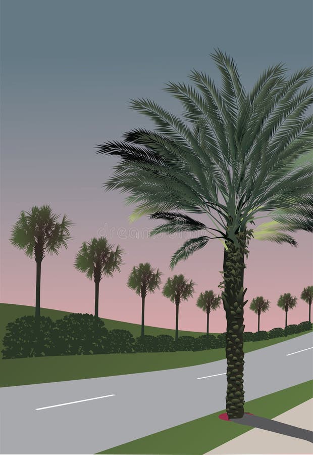 Green Palm Trees and Road at Sunset Stock Vector - Illustration of ...