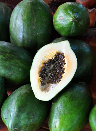 Green Papaya Fruit stock photo. Image of ripe, culinary - 14049018