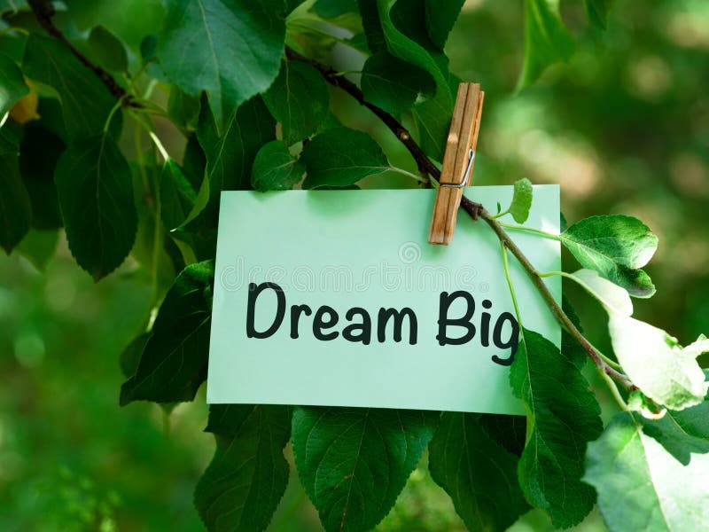 A Green Paper Note with Words Dream Big Hanging on a Tree Stock Image ...