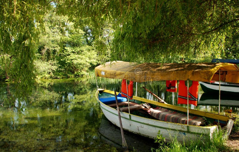 Green Paradise stock image. Image of mossy, green, trees - 19229087