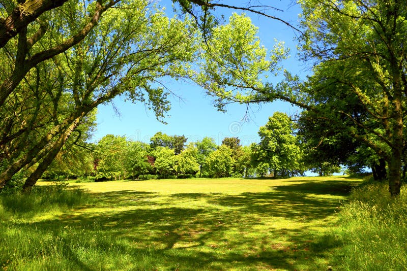Green park stock photo. Image of plant, grass, outdoors - 19856070