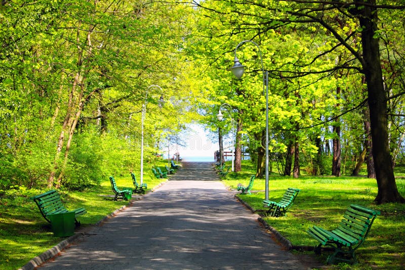 Green park stock image. Image of spring, forest, green - 26768385