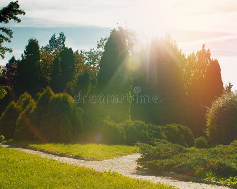 Green Park stock image. Image of desktop, flora, background - 38949007