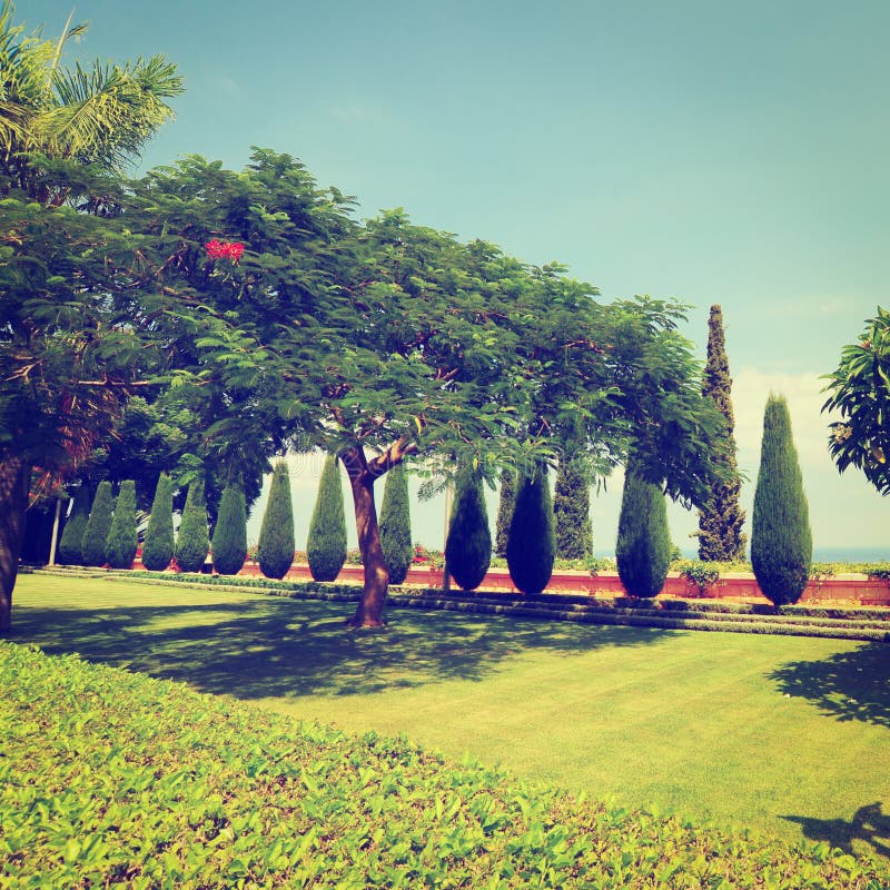 Green Park stock image. Image of green, natural, grass - 48577219