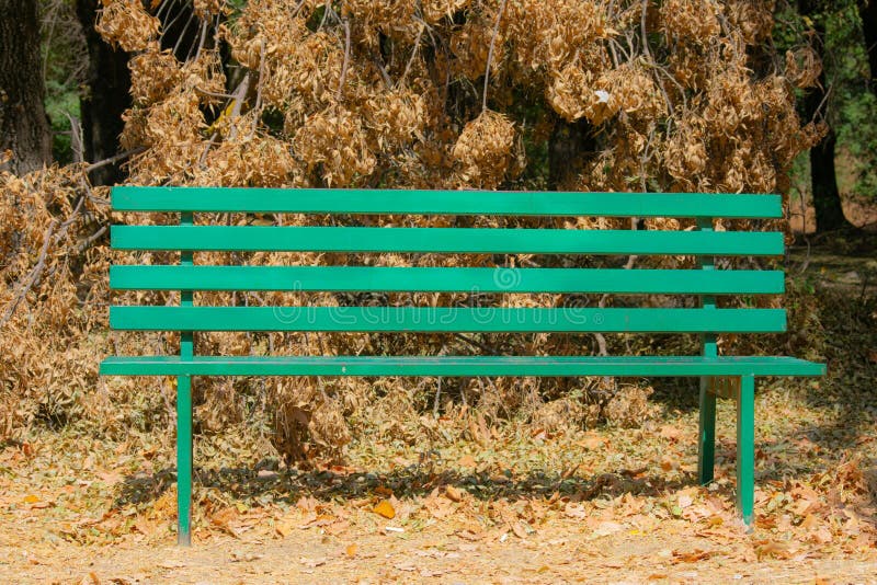 Green Park Bench and Brown Branches Stock Photo - Image of branch, park ...