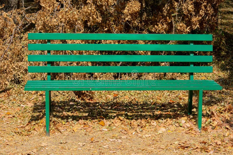 Green Park Bench and Brown Branches Stock Image - Image of peaceful ...