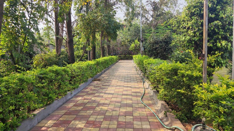 Green Park Butyfull Way Miryalaguda Stock Photo - Image of miryala ...