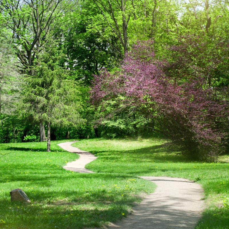 Green Park with a Crossing Path in Spring Stock Photo - Image of rural ...