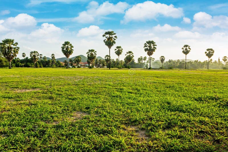Field on Daylight with Cloud Stock Photo - Image of countryside ...
