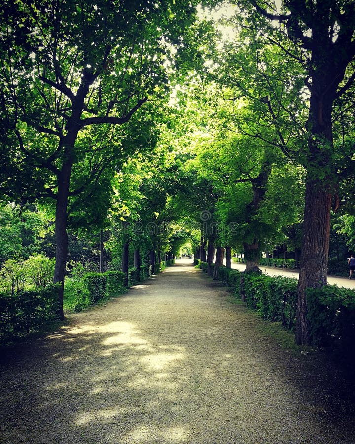 Green park stock image. Image of plants, green, walk - 115909987