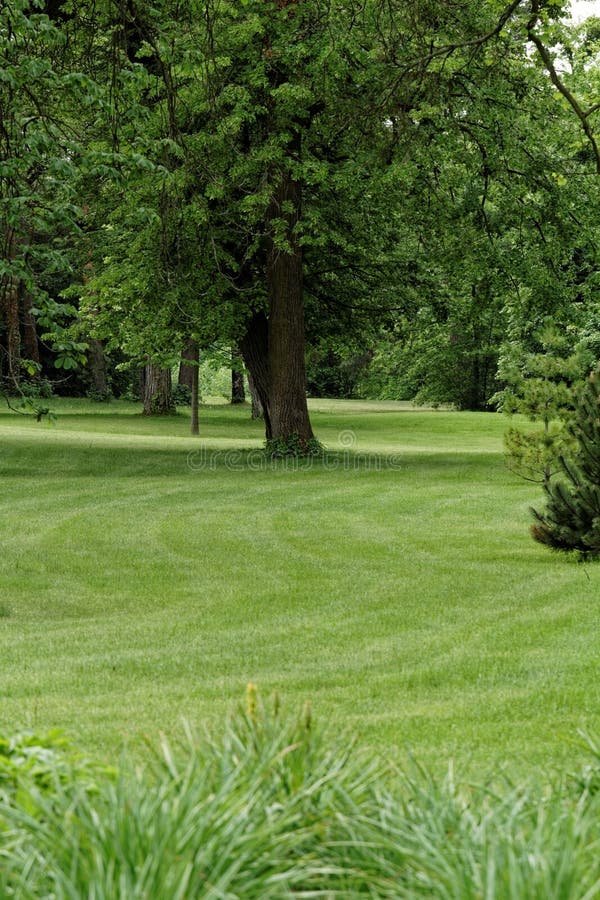 Green park stock image. Image of rural, nature, outside - 44592081
