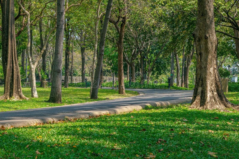 Green Park with Lawn and Trees Stock Image - Image of light, wallpaper ...