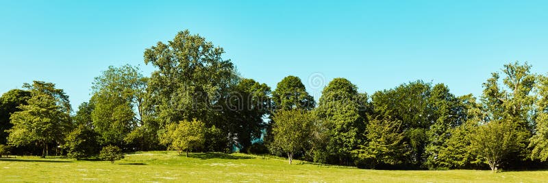 Green Park with Meadow and Trees As a Panorama Header Stock Photo ...