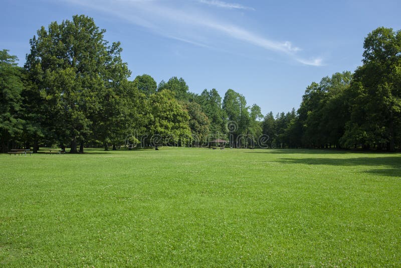 Green park stock image. Image of shade, park, lawn, forest - 264572685