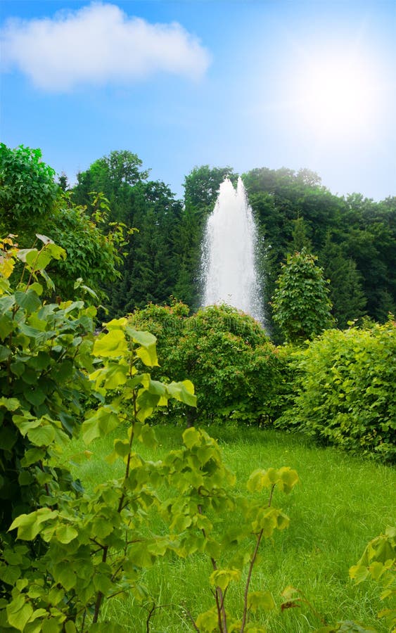 Green Park of the Nature with a Fountain Stock Image - Image of ...