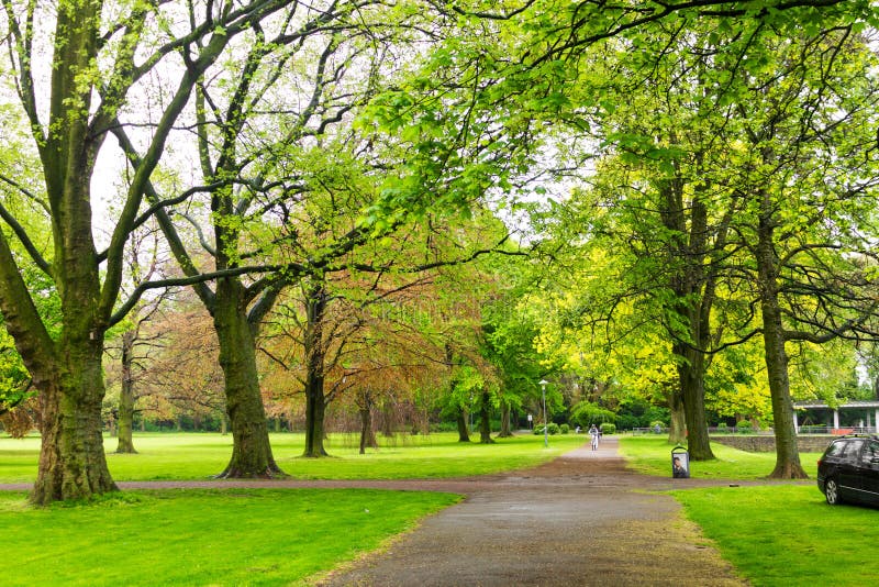 Green park nature trees stock photo. Image of conservation - 91619302