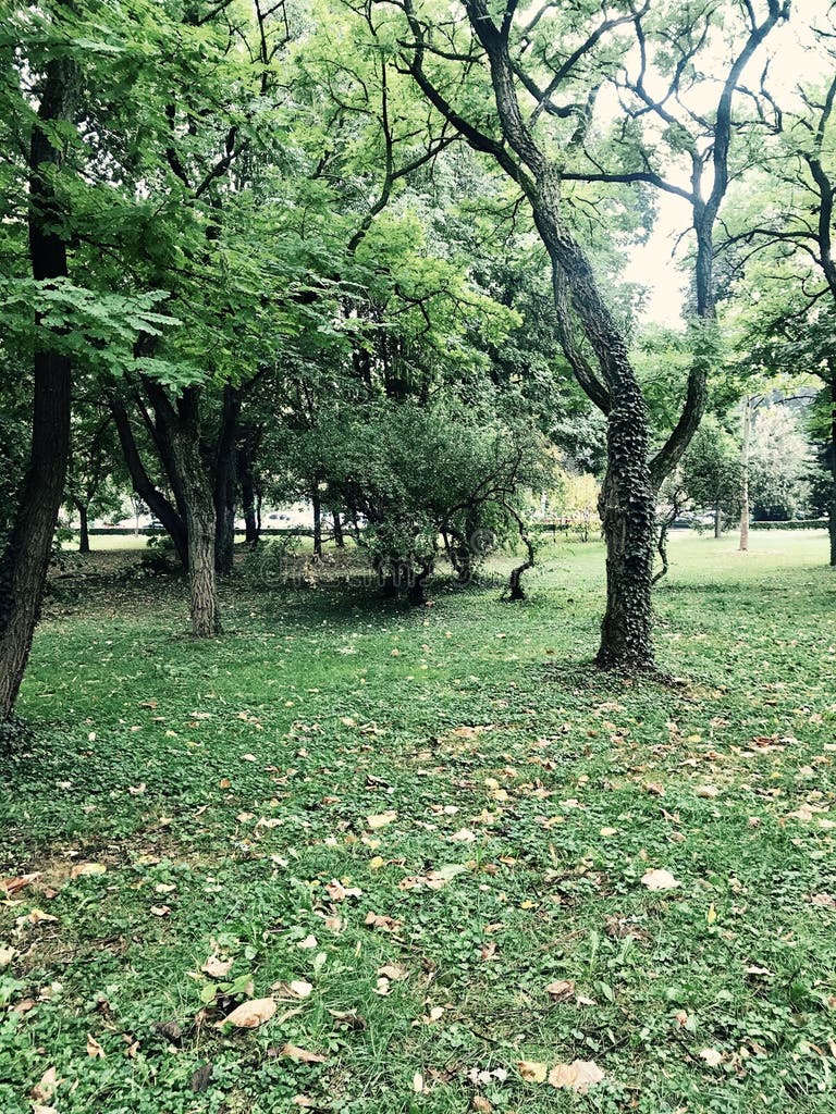 106 Filedot Evy Stock Photos - Free & Royalty-Free Stock Photos from ...