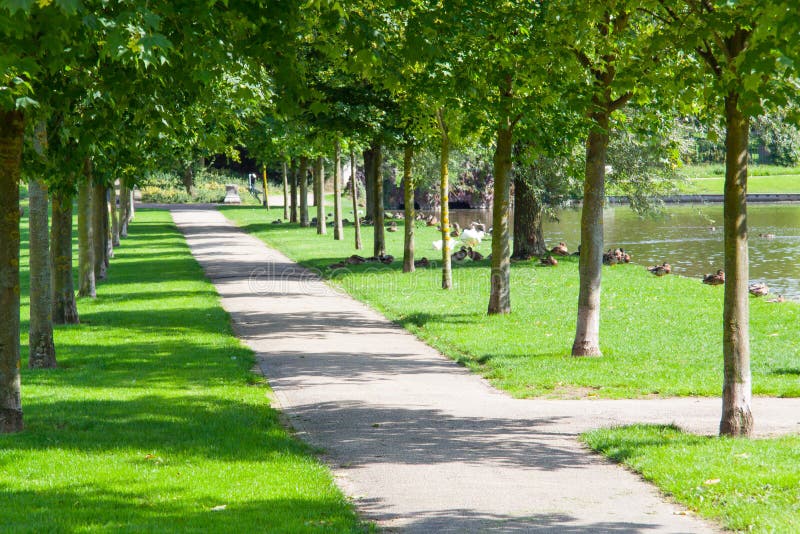 Green park stock image. Image of outdoor, green, path - 45038313