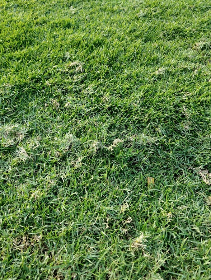 Plase Ground Stock Photos - Free & Royalty-Free Stock Photos from ...