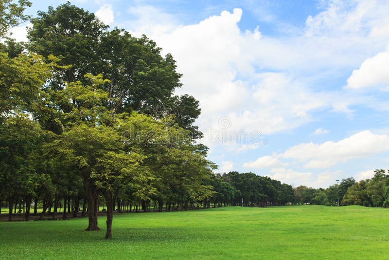 Green park stock photo. Image of public, country, rural - 38952800