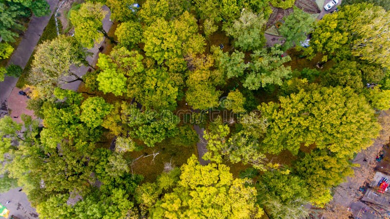 Green Park View from Above. Stock Photo - Image of abstract, forest ...