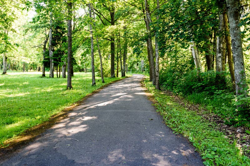 Green park with walkways stock image. Image of path, garden - 94603549
