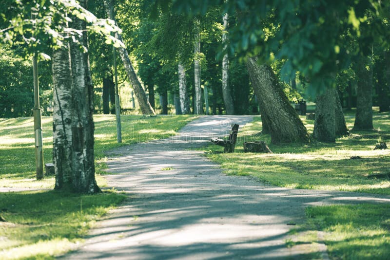 Green Park with Walkways - Vintage Green Effect Stock Image - Image of ...